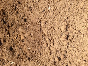 Underturf Soil | Warner Garden Centre