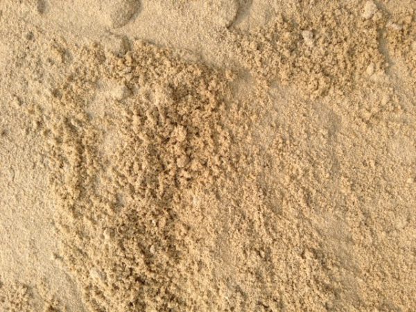 Washed Pit Sand $120/m3 | Warner Garden Centre